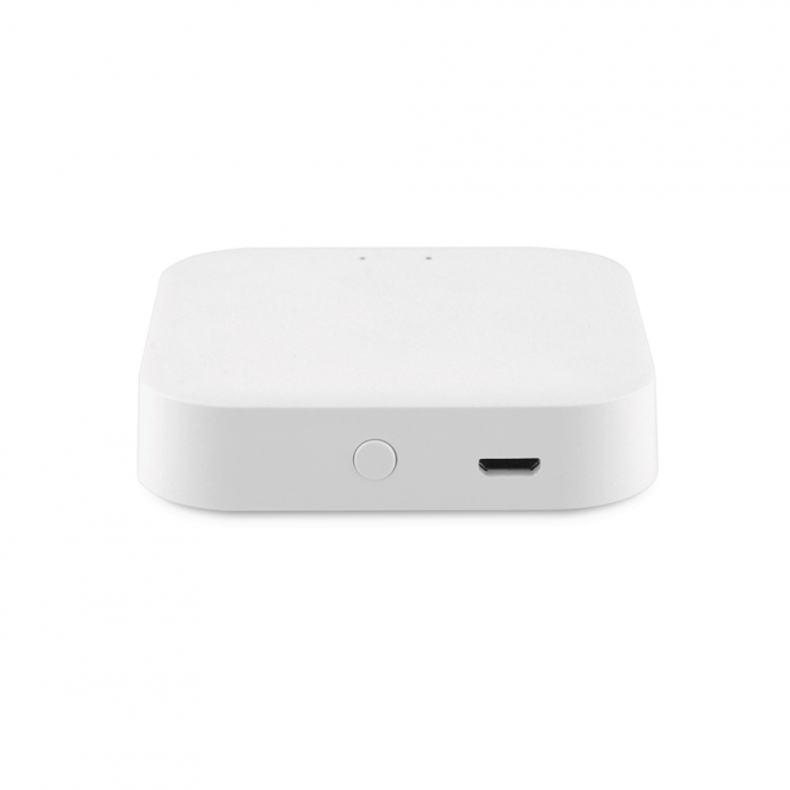 Bluetooth Wireless Gateway – EAGLE SECURE TECH