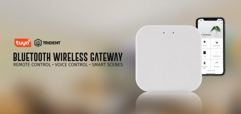 Bluetooth Wireless Gateway – EAGLE SECURE TECH