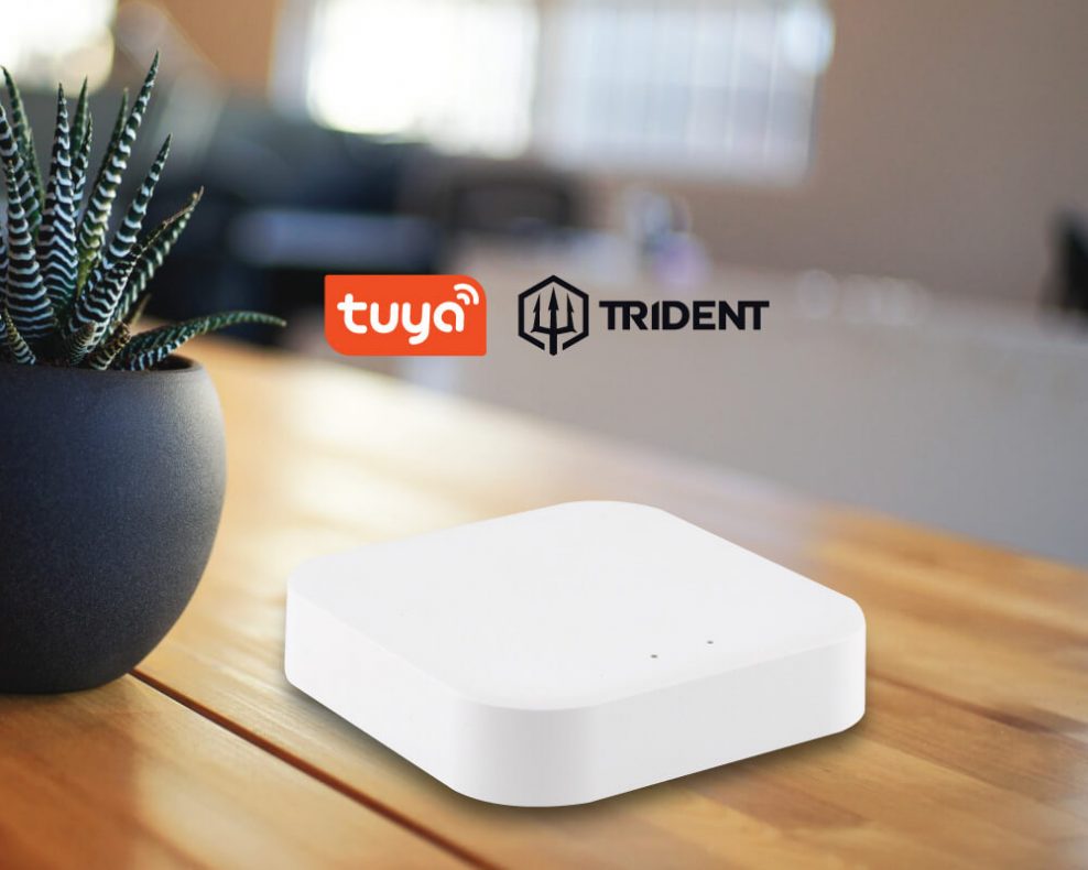 Bluetooth Wireless Gateway – EAGLE SECURE TECH