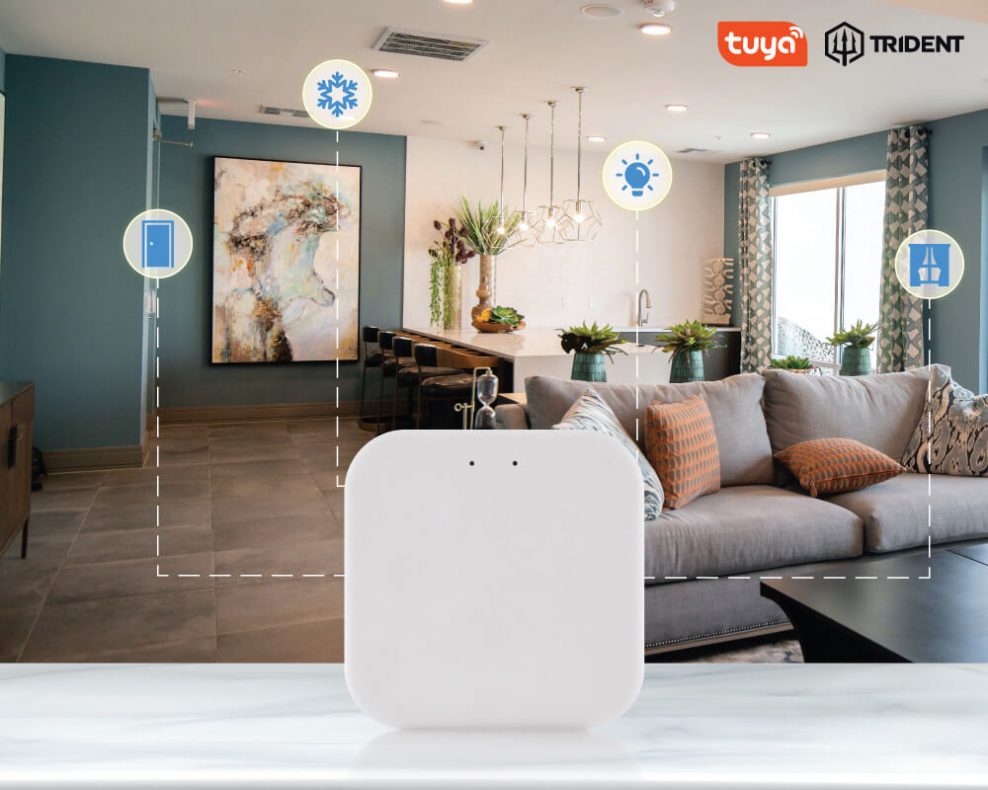 Bluetooth Wireless Gateway – SMART DIGITAL LOCK