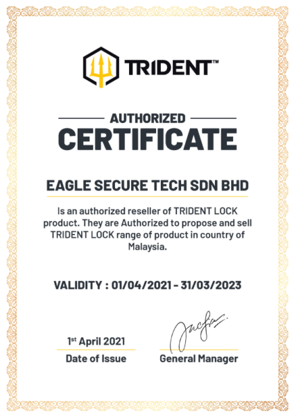 About Company – EAGLE SECURE TECH